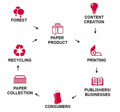 Waste: Graphic paper products: Need to clarify “producer” in EPR guidance